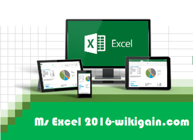 How To Use Format Cells And Styles In Microsoft Excel 2016 Wikigain