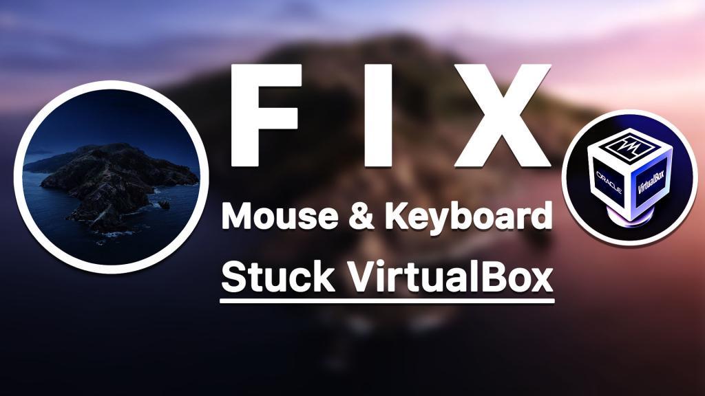 Fix Mouse & Keyboard Stuck on macOS Catalina on VirtualBox - wikigain