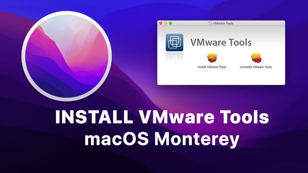 How to Install VMware Tools on macOS Monterey - wikigain